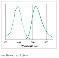 BioTracker™ Green Endocytosis Live Cell Probe | SCT271